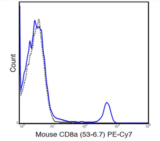 Anti CD8a Mouse PE Cy7 Clone 53 6 7 Antibody